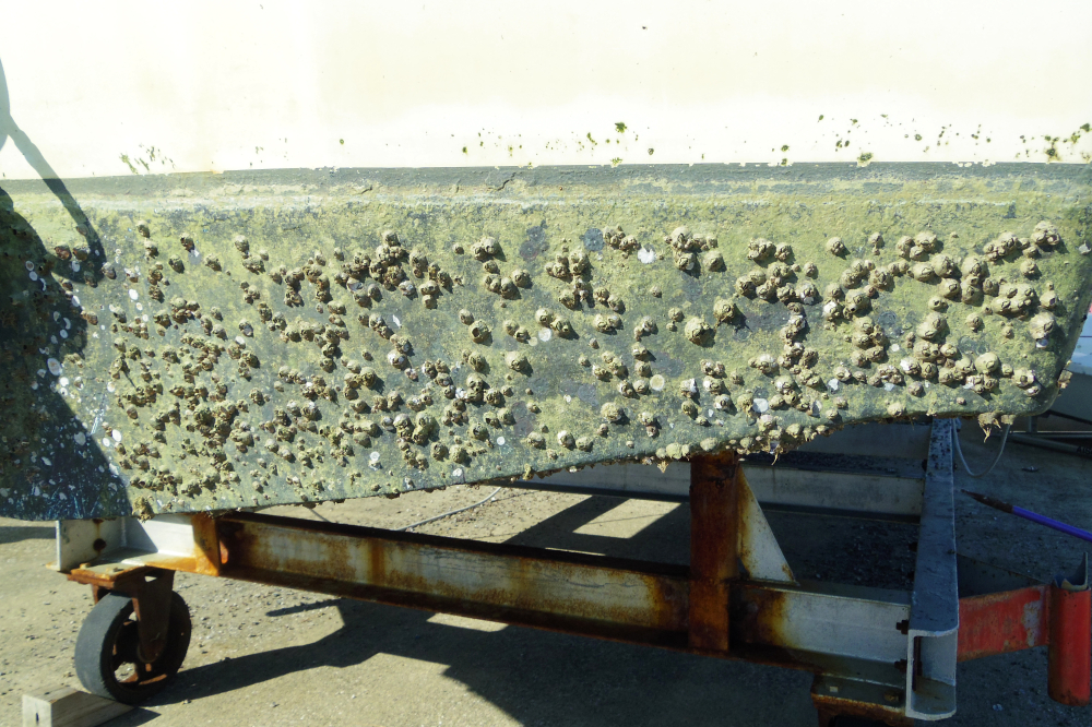 How to Remove Barnacles From a Fiberglass Hull | Boats.net